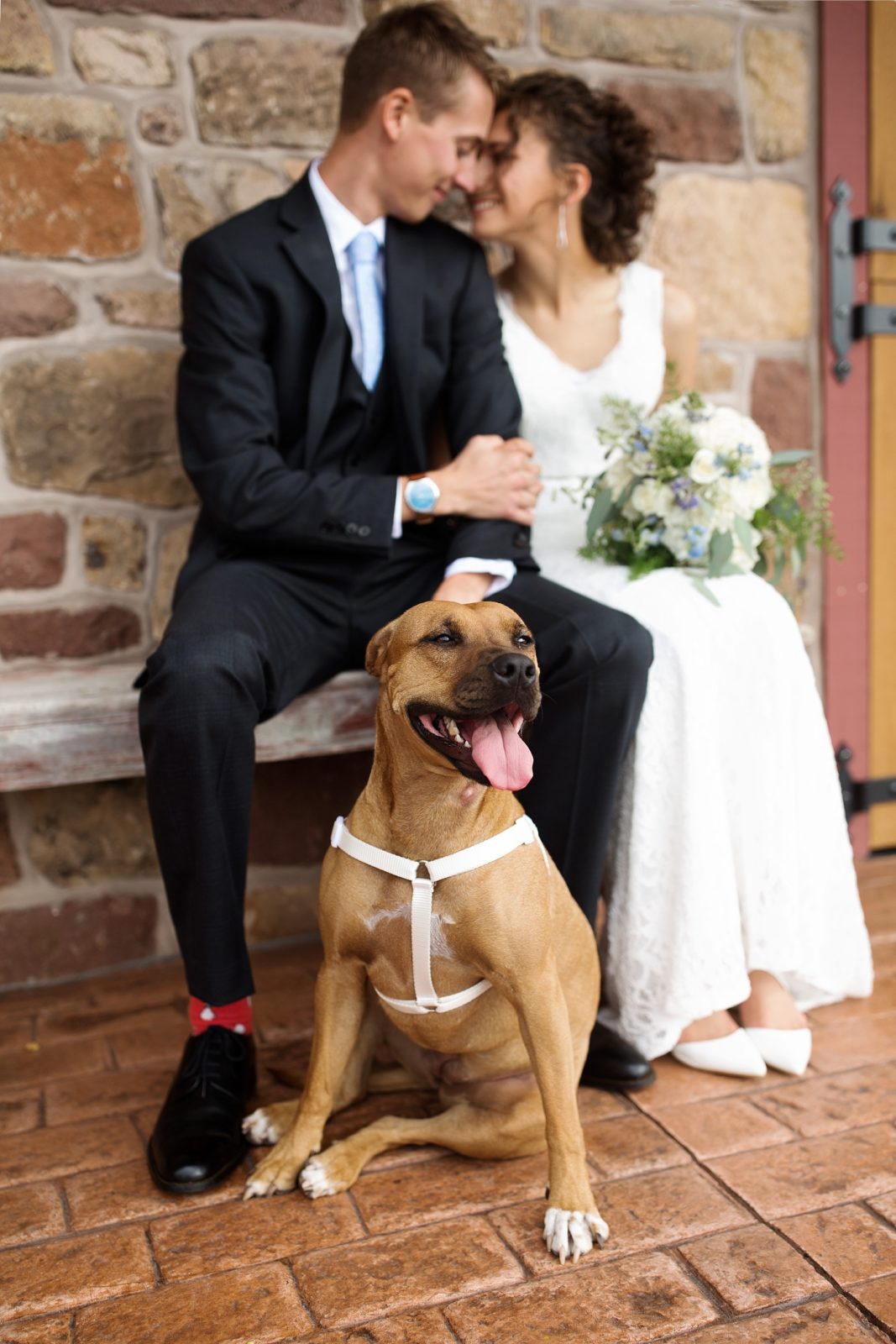 COPPER HORSE BARN WEDDING // EPHRATA, PA // BRITTANY + NICK | Janae ...